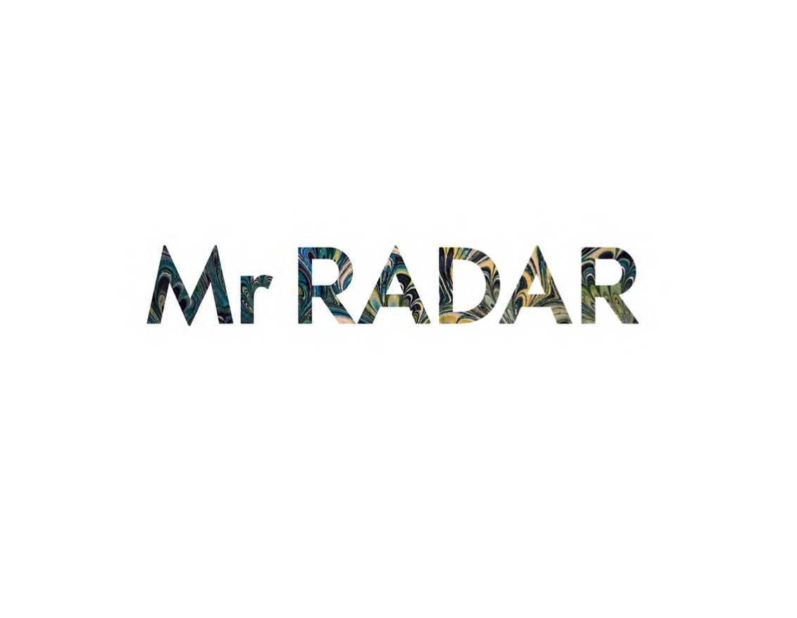 Projekt - Mr Radar